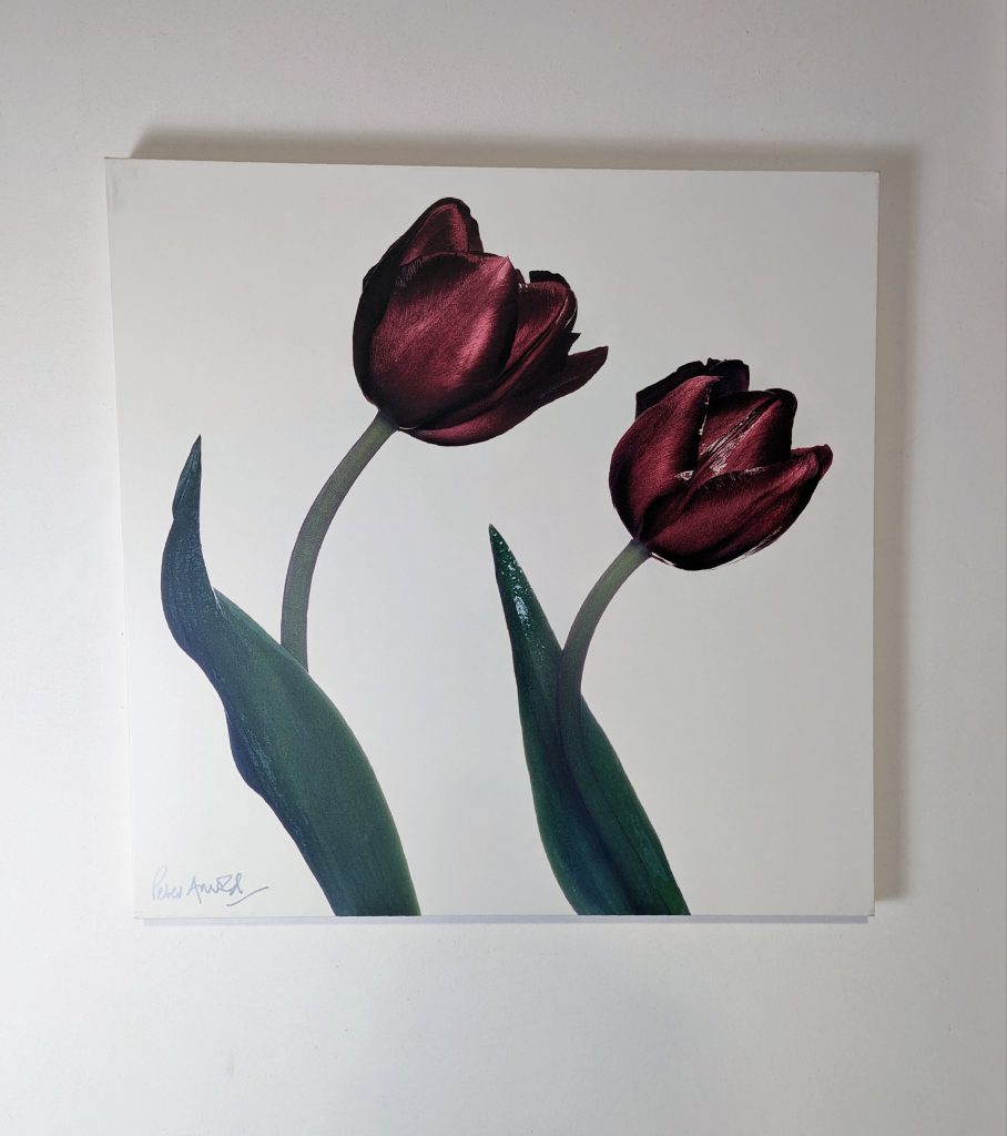 Peter Arnold Tulips Canvas - The Designer Furniture Company